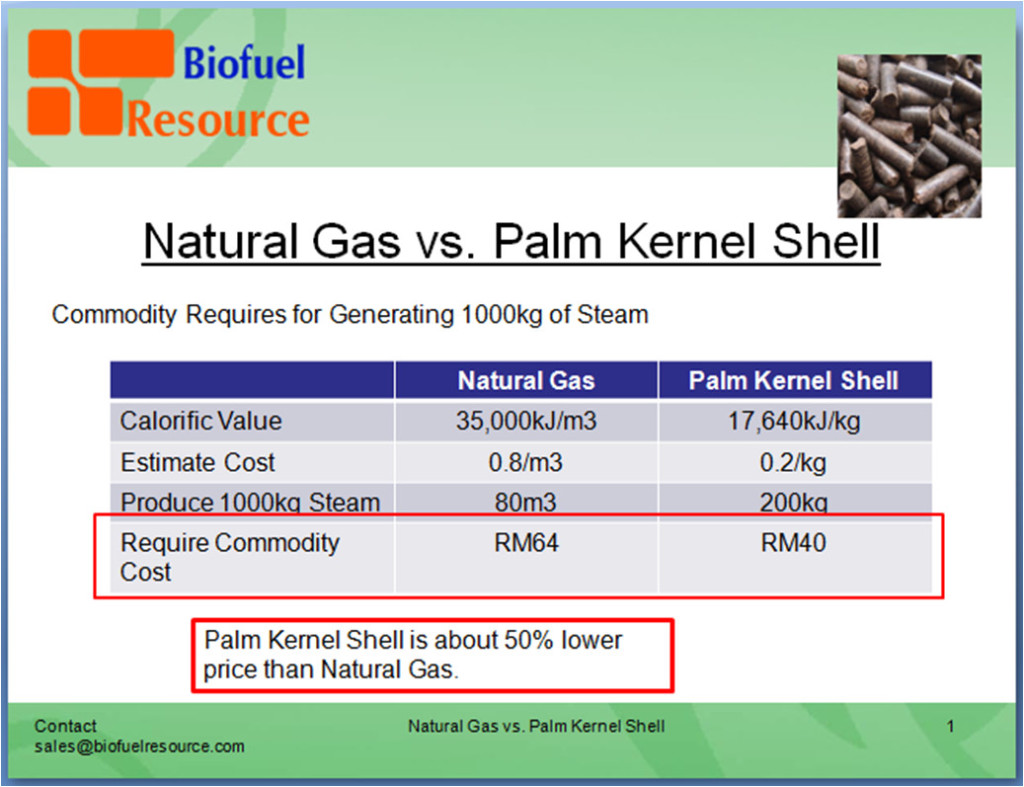 Natural Gas vs. Palm Kernel Shell - Steam Cost - Biofuel ...